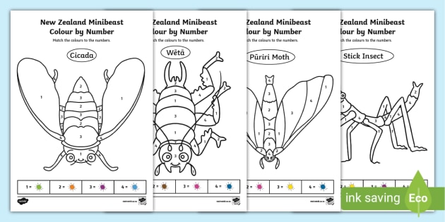 New Zealand Minibeasts Colour by Number (teacher made)