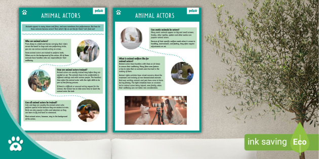 Animal Actors Information Sheet - Pets in Film - Twinkl Pets