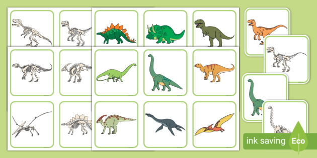 👉 Dinosaur Skeleton Matching Snap Cards (teacher made)