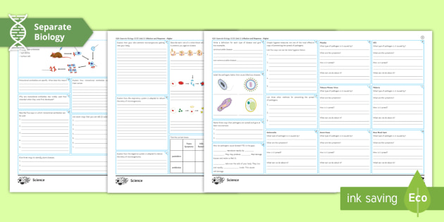 AQA Separate Biology Unit 3: Infection and Response - Higher Revision