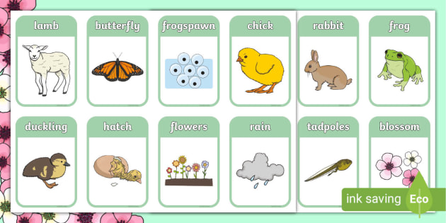 Spring Vocabulary Flashcards – Spring Pictures - Resource