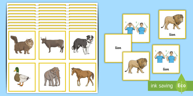 Auslan Animals Matching Cards - ACLASFC131, ACLASFC132, ACLASFC133, ToD
