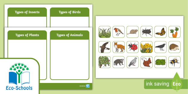 FREE! - Eco-Schools Biodiversity Sorting Activity