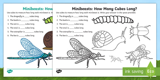 How Many Cubes Long Minibeasts Activity (teacher made)