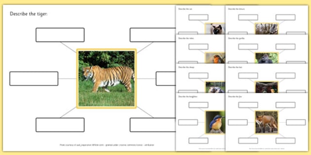 Photo Describe The Picture Animals (teacher made)