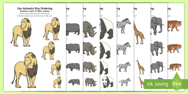 Zoo Animals Size Ordering English/German (teacher made)