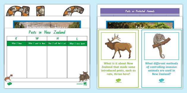 Pests in New Zealand Resource Pack Two (teacher made)
