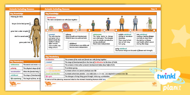 Science Knowledge Organiser: Animals Including Humans Year 5
