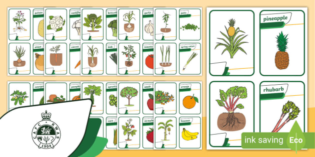 FREE! - Fruit and Vegetables Plants Matching Activity
