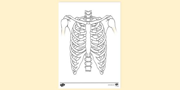 Colouring | Colouring Sheets (teacher made)