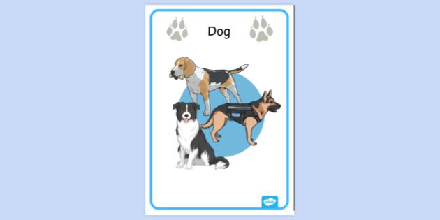 FREE! - Printable Dog Poster | Primary Educational Resource | Twinkl