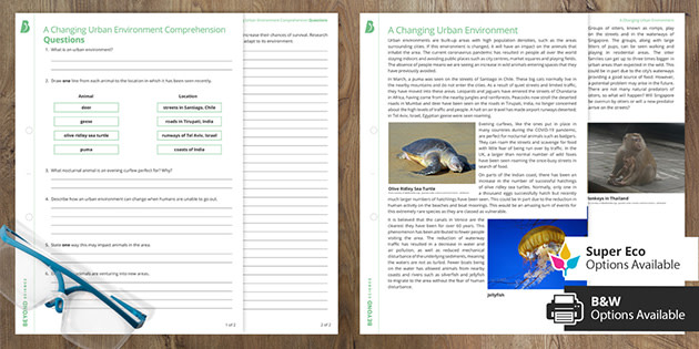 A Changing Urban Environment Reading Comprehension | Beyond