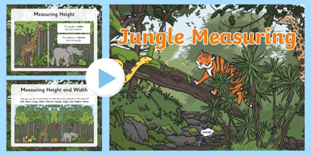 Jungle Measuring PowerPoint (teacher made)