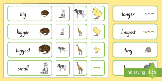 Size Word Cards (teacher made)