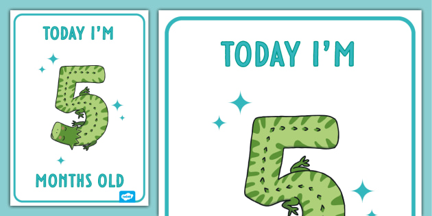 Today I'm 5 Months - Baby Milestone Poster (teacher made)
