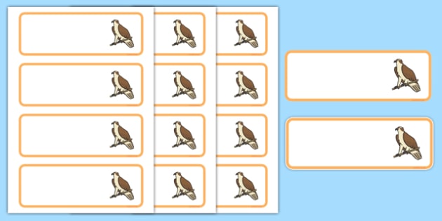 Osprey Themed Editable Drawer-Peg-Name Labels (Colourful)