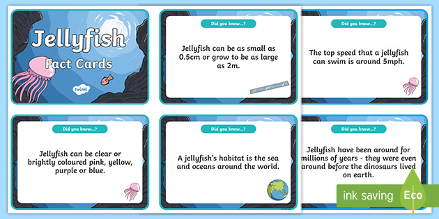 Jellyfish Fact Cards (teacher made)
