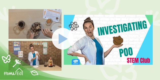 FREE! - Investigating Ancient Poo (Teacher-Made)