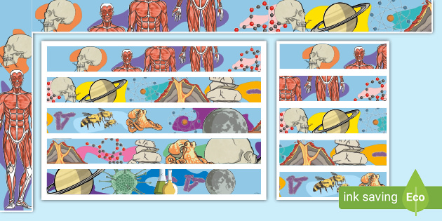 Science Rocks Display Borders (teacher made)