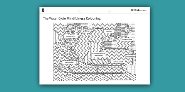 Year 7 - Year 10 Science Water Cycle Mindfulness Colouring