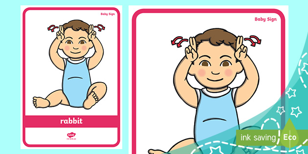 Baby Sign Language Poster (Rabbit) (teacher made)