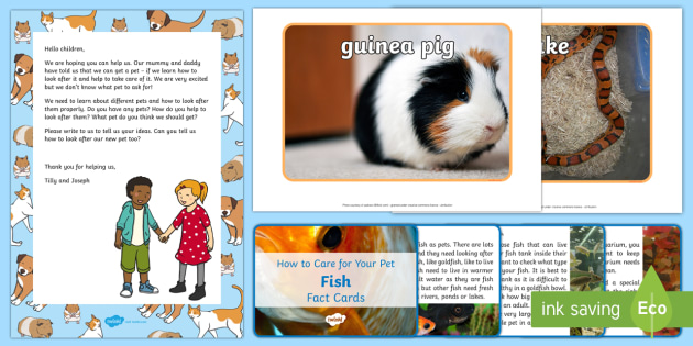 Editable Pet Care Topic Hook Letter and Resource Pack