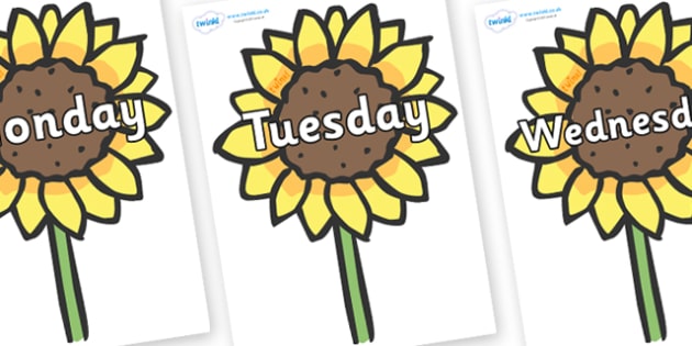 FREE! - Days of the Week on Sunflowers (teacher made)