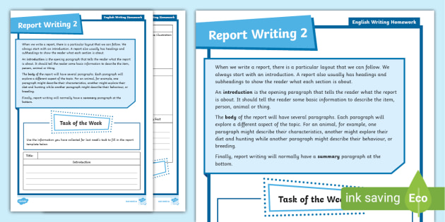 English Writing Homework Report 2 3rd/4th Class