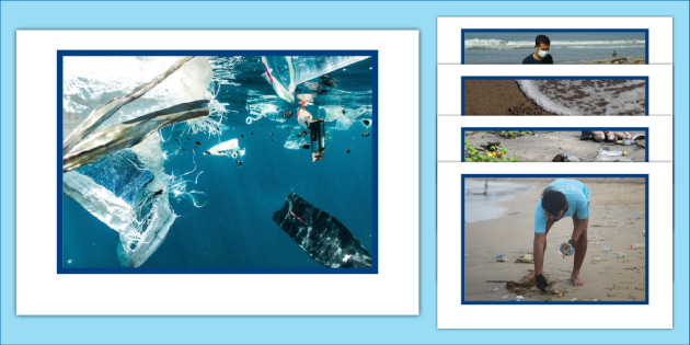 Ocean Pollution Display Photos (teacher made)