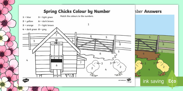 Spring Chicks Colour by Number
