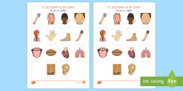 Mi cuerpo - Escritura de vocabulario - Ficha de actividad