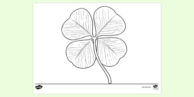 Clover Colouring Page (teacher made)