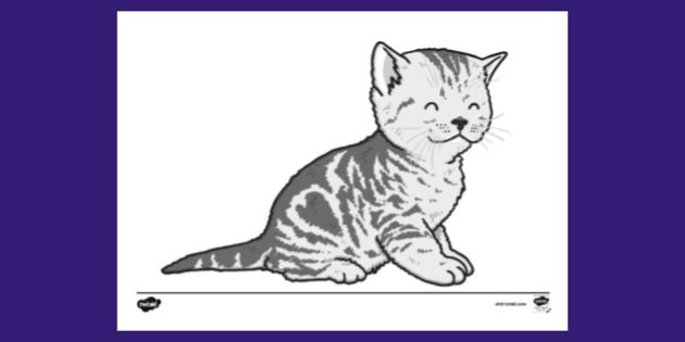 FREE! - Kitty Colouring Page | Colouring Sheets