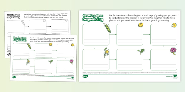 Gardening Mind Maps | twinkl.com.au