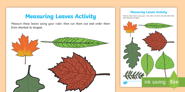 Spring - Leaf Measurement Activity (teacher made)