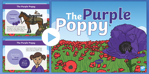 The Purple Poppy PowerPoint (teacher made)