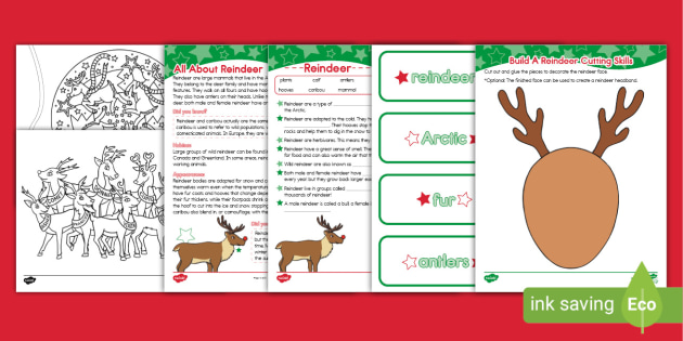 Reindeer Reading Passages | twinkl.com.au