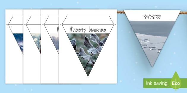 Winter Photo Bunting (teacher made)