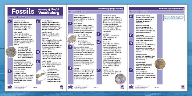 Fossils Glossary of Key Topic Vocabulary (teacher made)