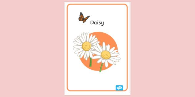 FREE! - Daisy Poster | Primary Resources | Twinkl Made
