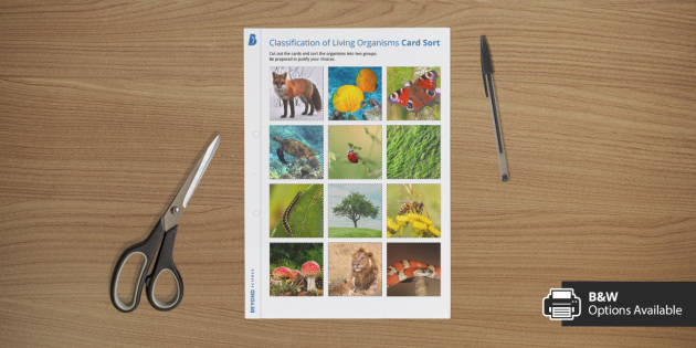 Classification of Living Organisms Card Sort (Teacher-Made)