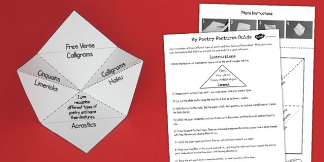 Recognise Different Forms Poetry Fold Reference Leaflet
