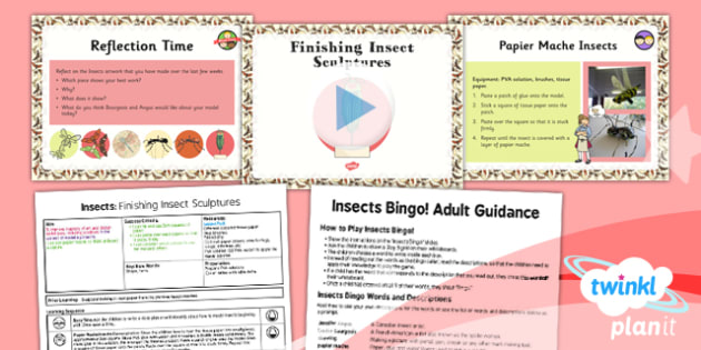 Art: Insects Unit: Finishing Insect Sculptures LKS2 Lesson Pack 6