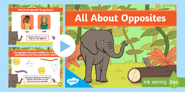 All About Opposites PowerPoint | Primary (teacher made)