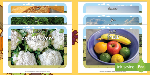 Harvest Display Photos Arabic/English