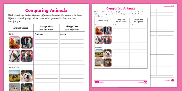 Y1 Comparing Animals Activity Sheet (teacher made)