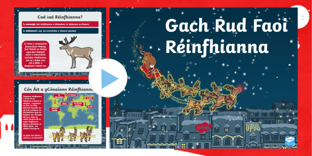 A Christmas Collar All About Reindeer PowerPoint Gaeilge