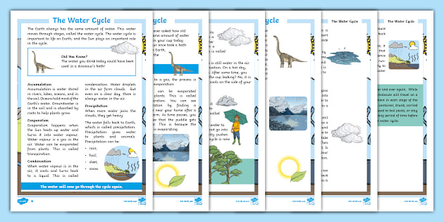 Water Cycle Vocabulary Worksheet