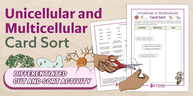 multicellular examples