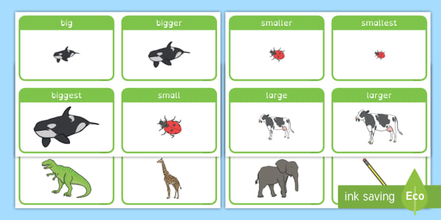 FREE! - Size Word Cards Dyslexia (teacher made)